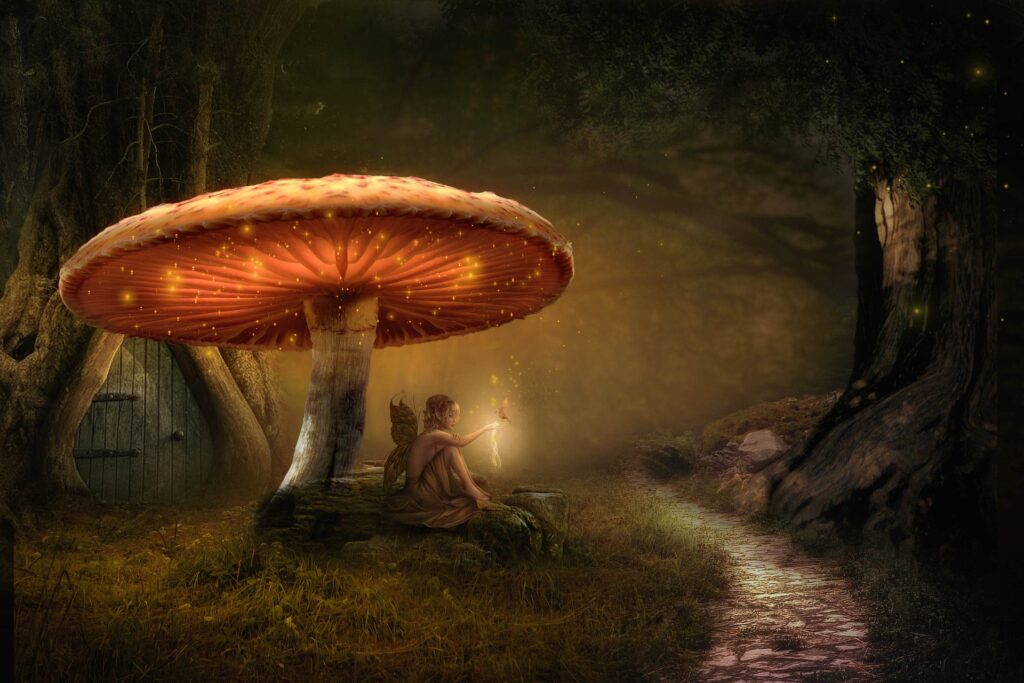 Proof of Fairies, Part II - Clara Bush