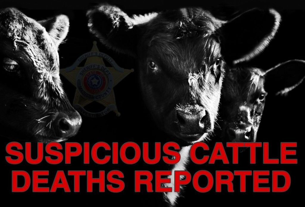 Animal Mutilations, Urban Legend or Extraterrestrials? - Clara Bush
